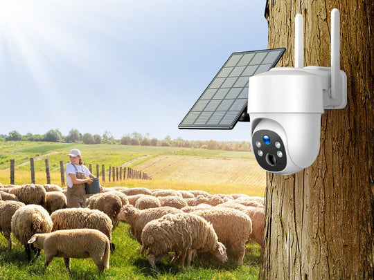 Best Farm Security Cameras for Rural Areas 2024: Protect Your Farm ...